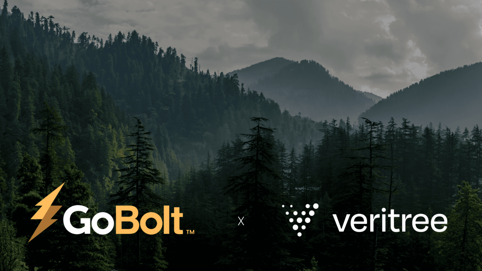 GoBolt Announces Carbon Calculator & Partnership with veritree